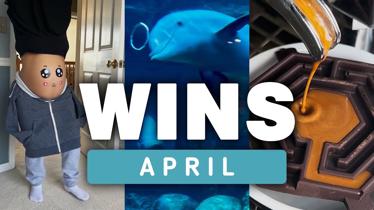 WIN Compilation APRIL 2024 Edition (Best of March) - Win-Compilation
