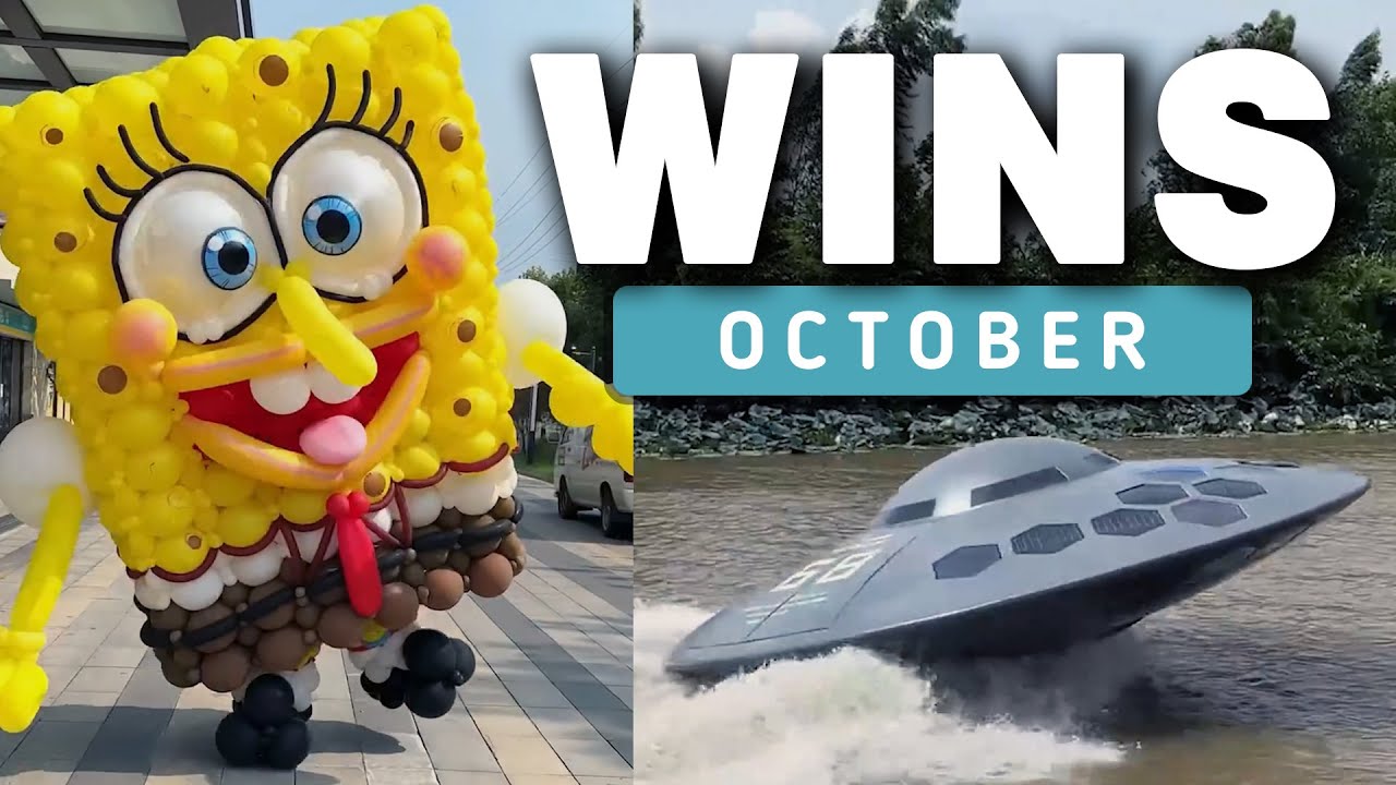 WIN Compilation OCTOBER 2024 Edition - Win-Compilation