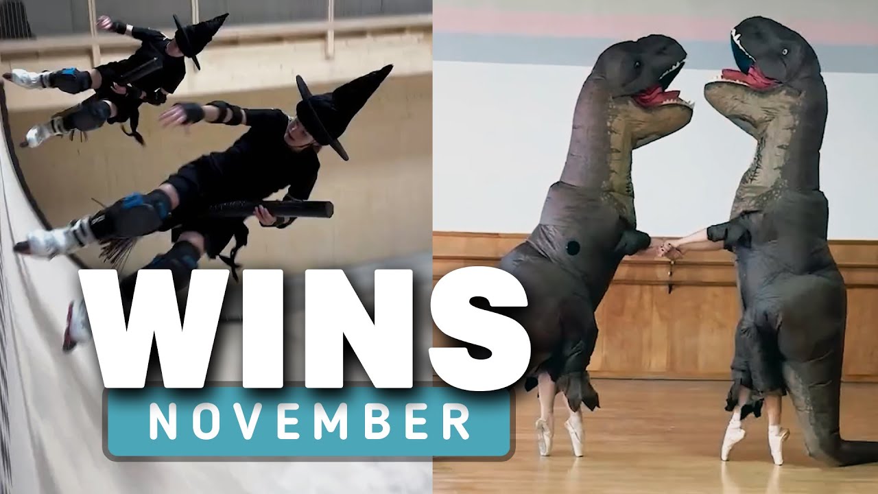 WIN Compilation NOVEMBER 2024 Edition - Win-Compilation